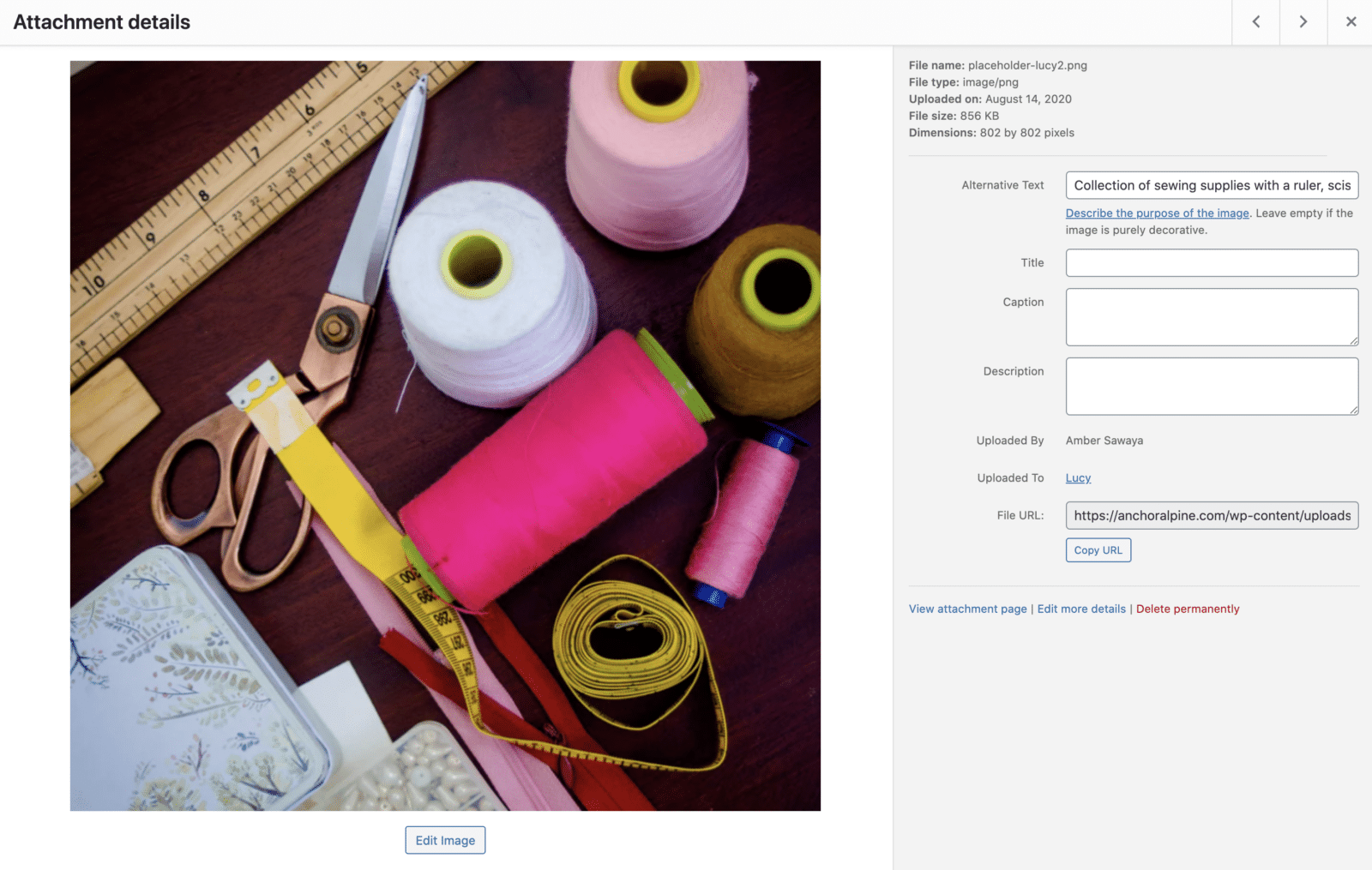 Client guide: Why alt tags are important & how to use them. - Anchor ...